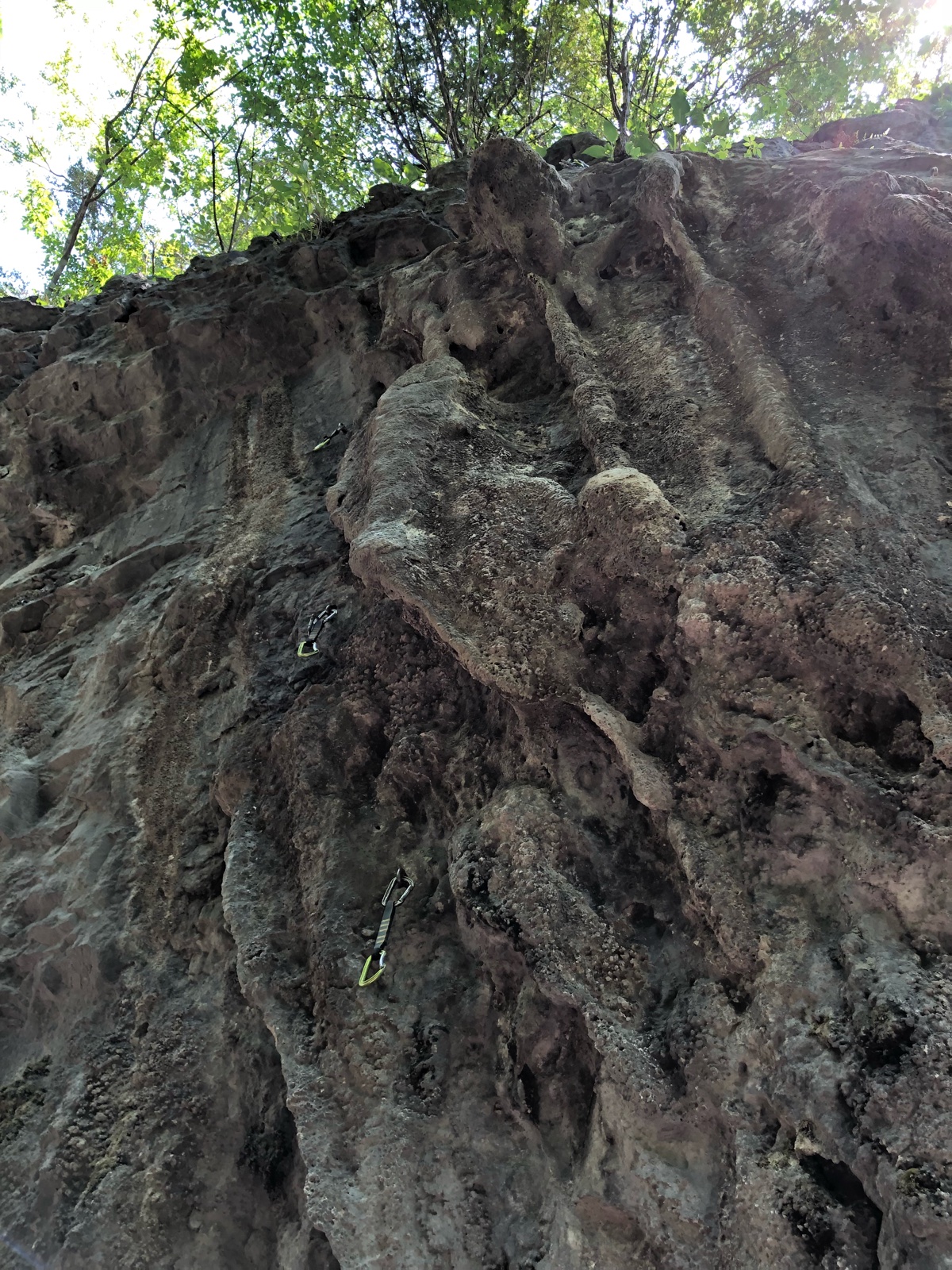 FD77D65F-DBDE-4A00-930F-38BF90F9A8BB – ちょっとずつ登る