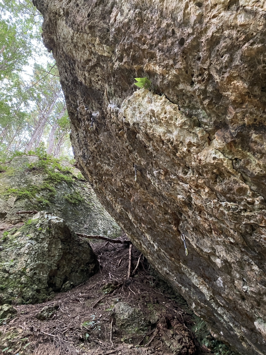 C047AE82-FDEF-4D5E-8D79-E94E63E80486 – ちょっとずつ登る