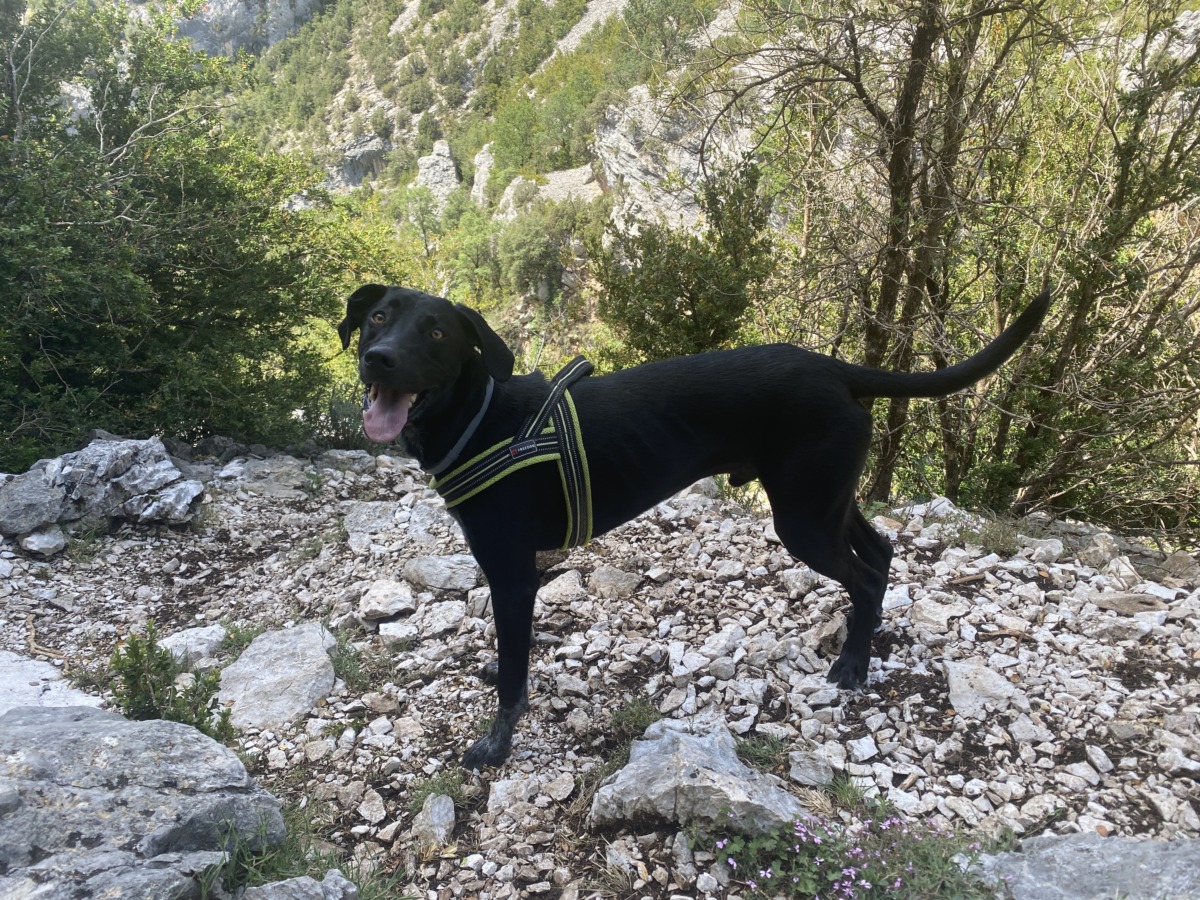 IMG_4554 – ちょっとずつ登る