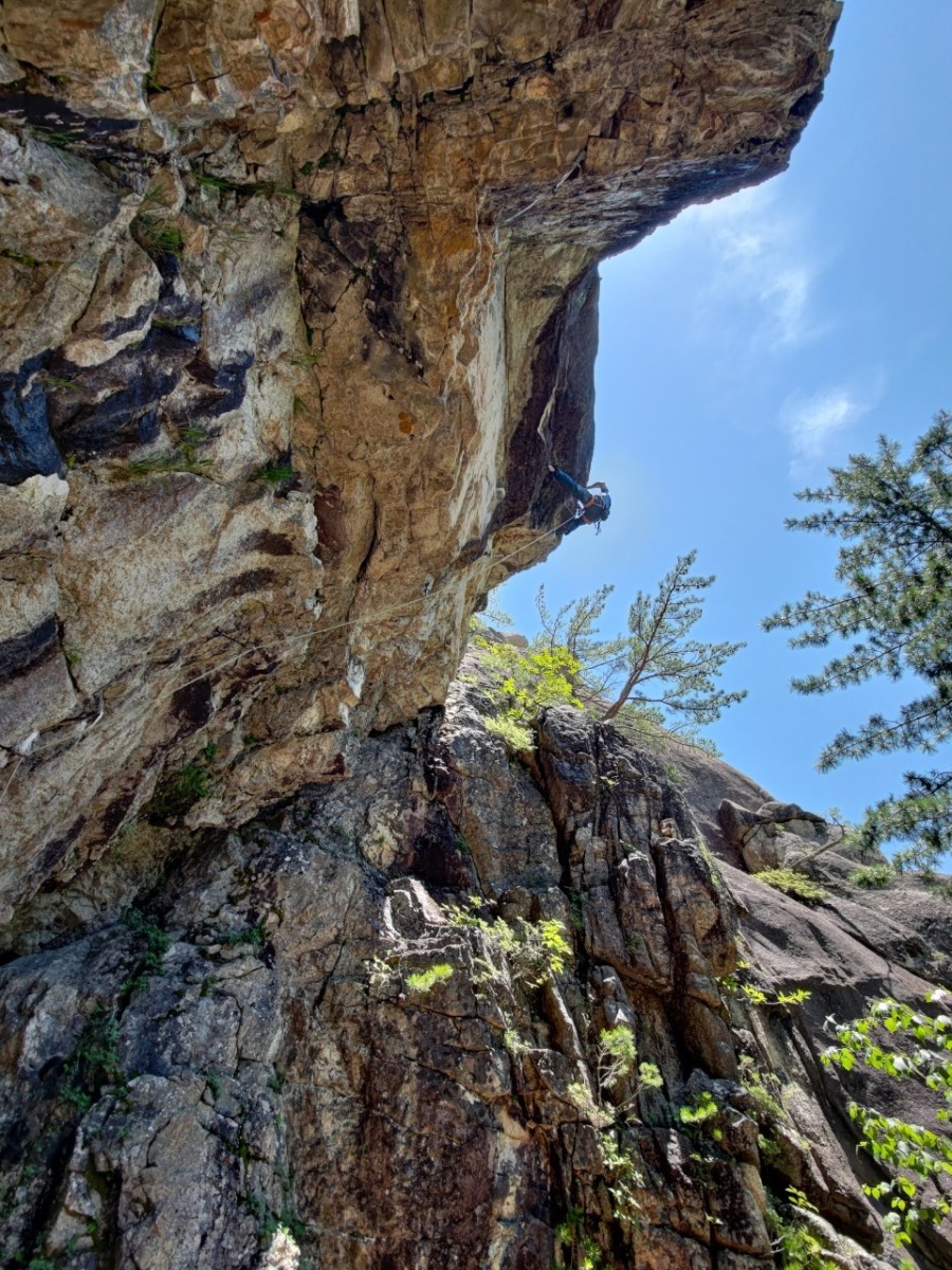 3AA9642C-5F39-41B8-B0FB-FECAD12E0DAD – ちょっとずつ登る