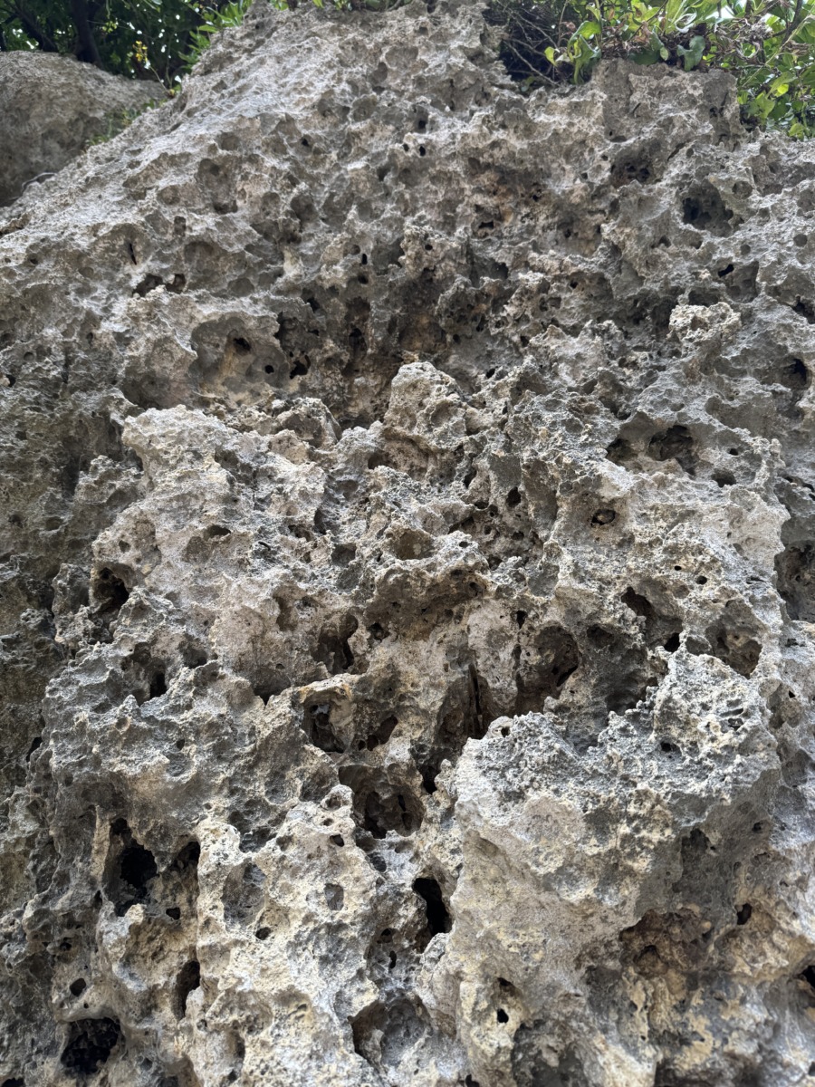 IMG_3318 – ちょっとずつ登る