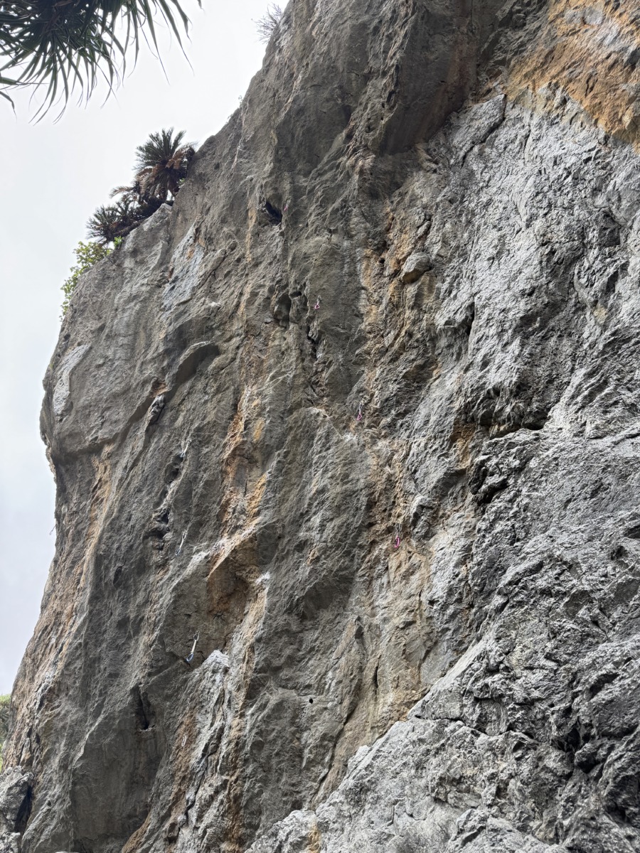 IMG_3537 – ちょっとずつ登る